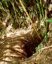 Corporal Shoichi Yokoi